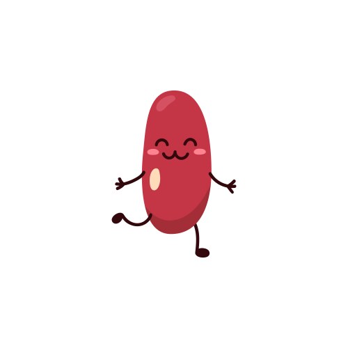 Kidney Bean Shape Vector Images (over 290)