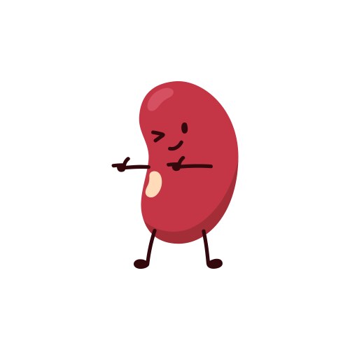 Kidney Smile Vector Images (over 890)
