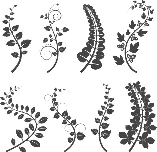 Curly Pattern Vector Images (over 26,000)