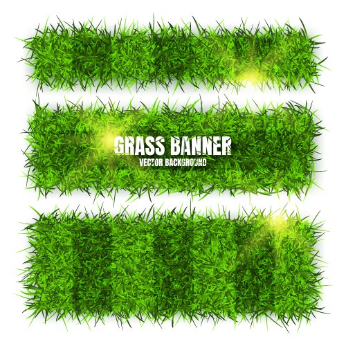 Green grass banners background field meadow Vector Image