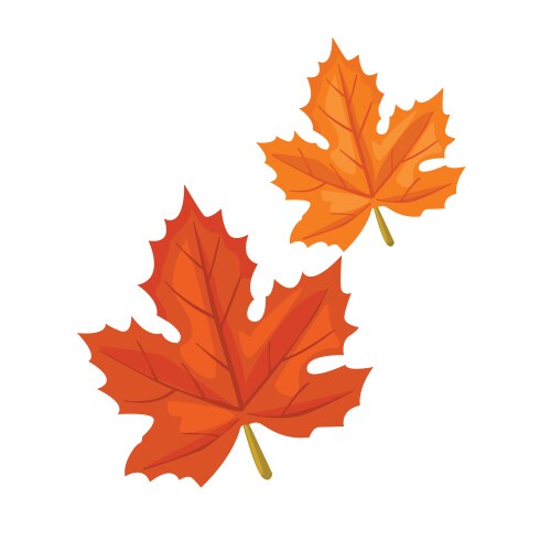 Maple leaf icon Royalty Free Vector Image - VectorStock