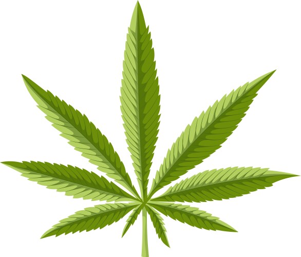 Weed bong cannabis cartoon Royalty Free Vector Image