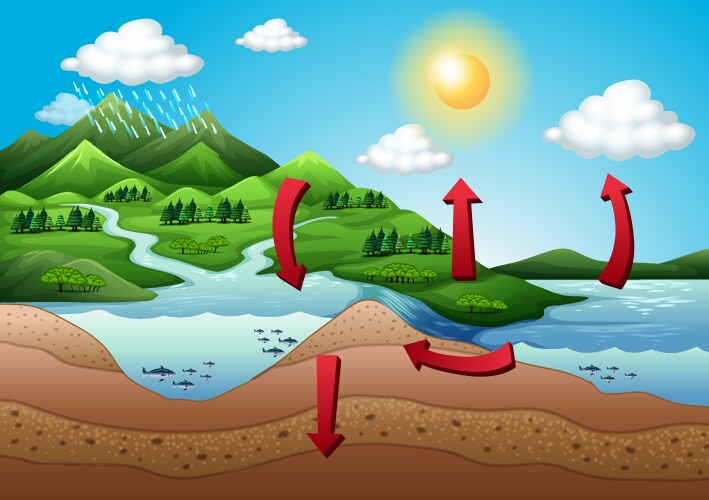 Water cycle Royalty Free Vector Image - VectorStock