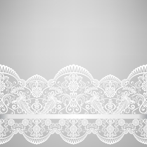 Lace background with border Royalty Free Vector Image