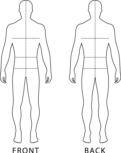 Body outline front back Vector Images & Graphics for Commercial Use ...