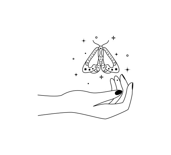 Magic hands with night moth outline celestial Vector Image