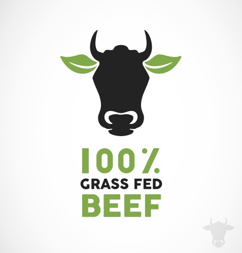 Beef cuts diagram and butchery design elements Vector Image