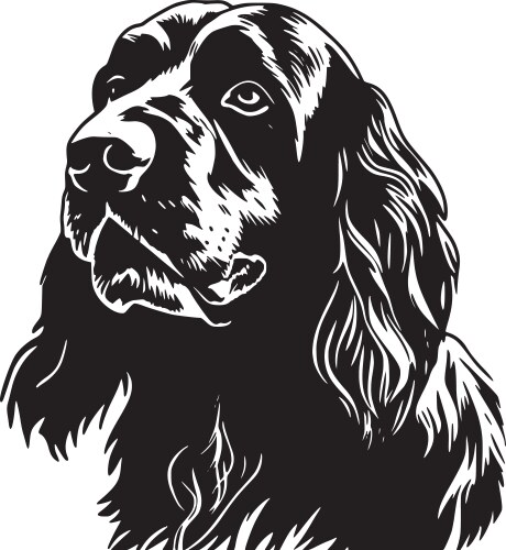 Spaniel Vector Images (over 3,400)
