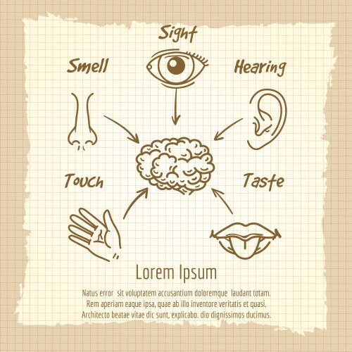 Senses Poster Vector Images (over 800)