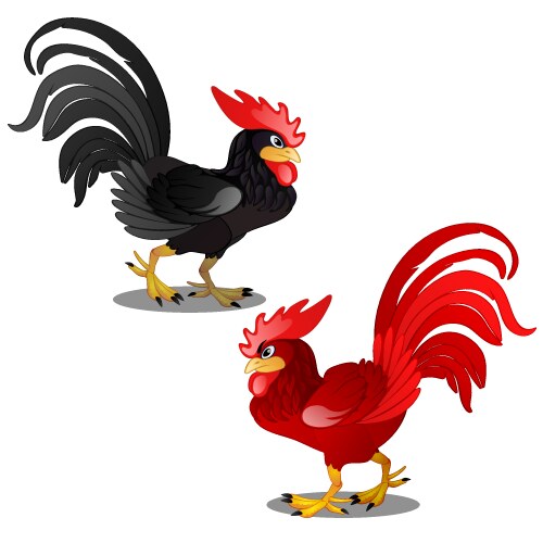 Super rooster Royalty Free Vector Image - VectorStock