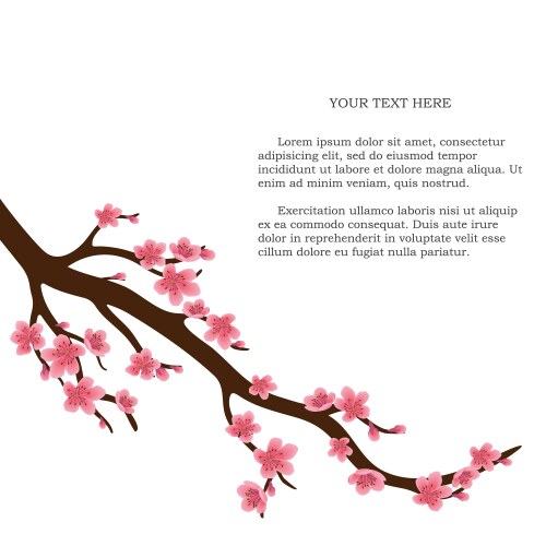 Cherry blossom font Royalty Free Vector Image - VectorStock