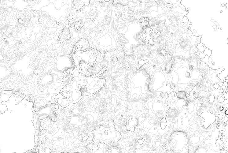 Topographic map patterns topography line Vector Image