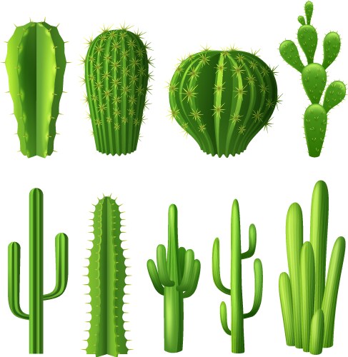 Cactus Vector Images (over 97,000)