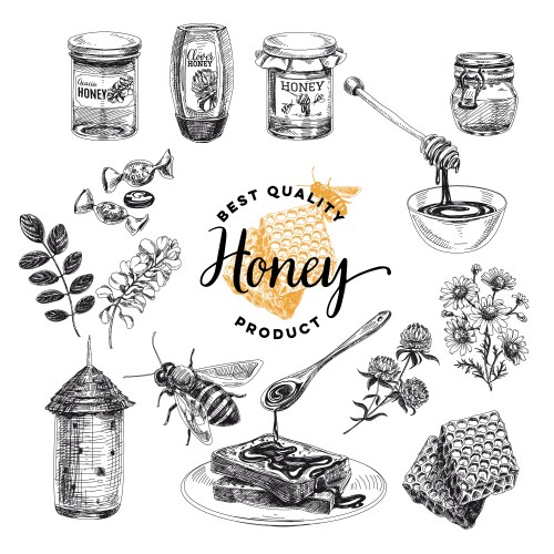 Honey Vector Images (over 110,000)