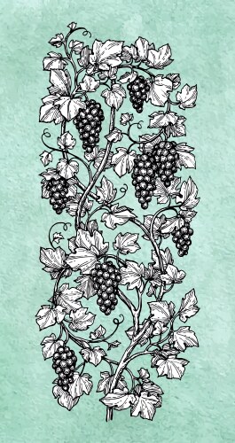 Vertical Vine Vector Images (über 500)