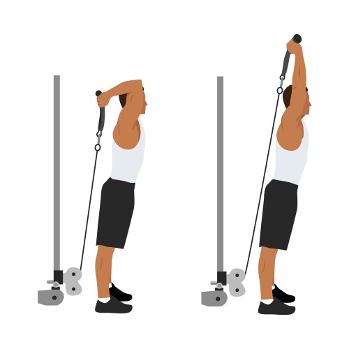 Man doing dumbbell overhead triceps extension Vector Image