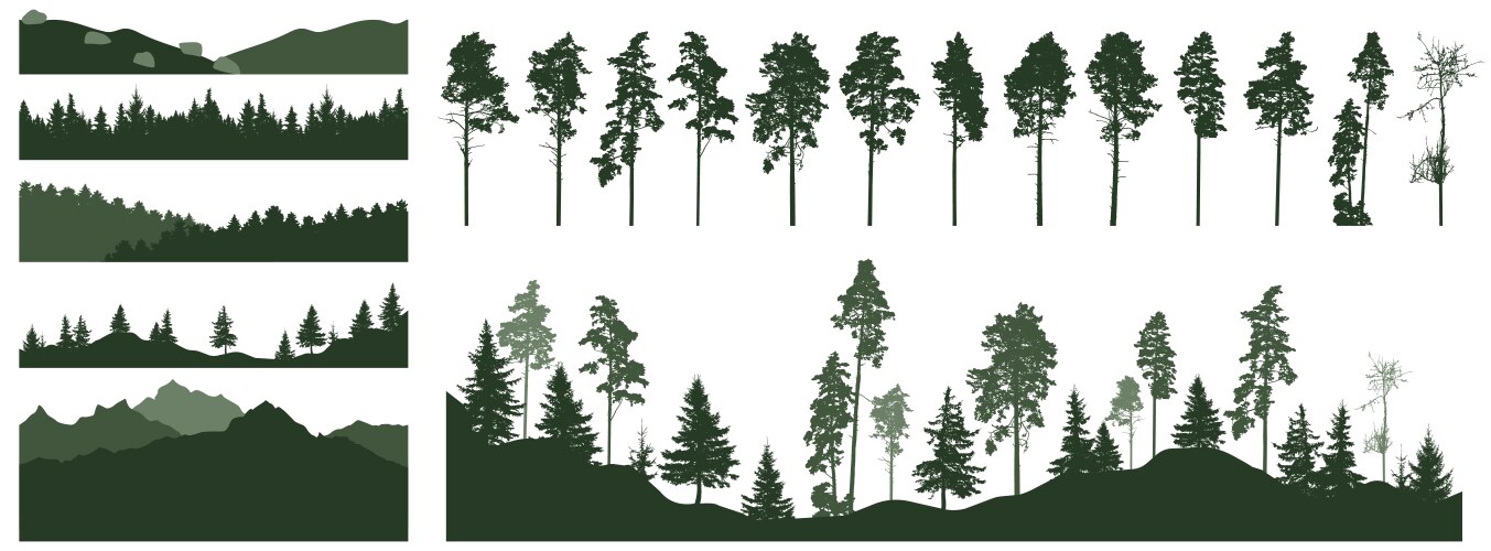 Contour of tall coniferous trees set Royalty Free Vector
