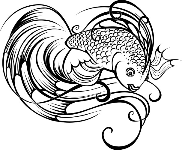 Fish Line Drawing Vector Images (over 34,000)