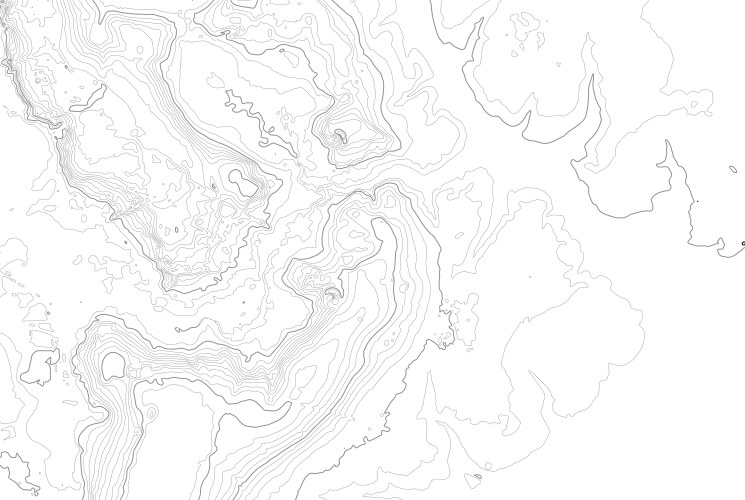 Topographic map patterns topography line Vector Image
