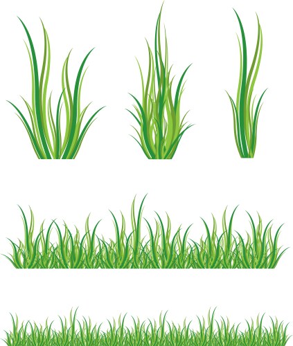 Green bushes realistic grass garden Royalty Free Vector