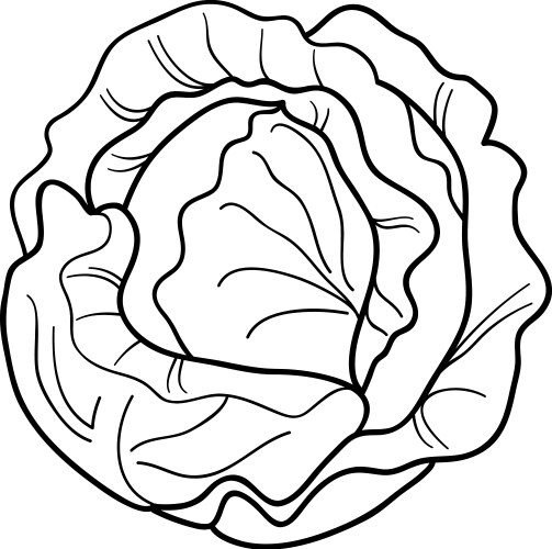 Cabbage Cartoon Vector Images (over 9,900)