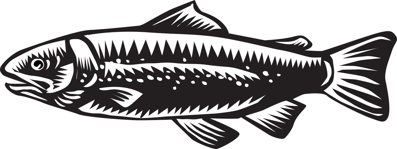 Trout Vector Images (over 12,000)