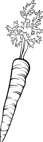 Carrot root vegetable cartoon Royalty Free Vector Image