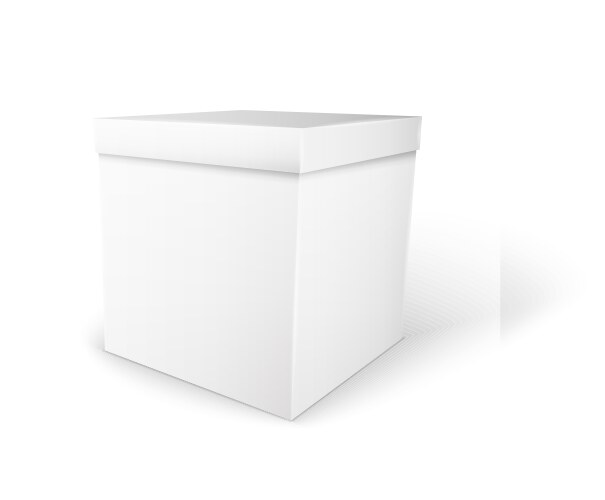 Realistic white package carton box for software Vector Image