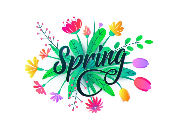 Spring frame Royalty Free Vector Image - VectorStock