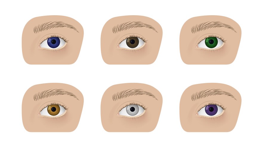 Realistic human eyes design Royalty Free Vector Image