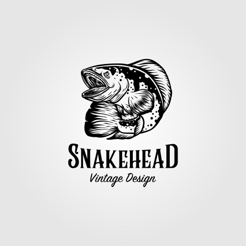 Freshwater Fish Drawing Vector Images (over 3,600)