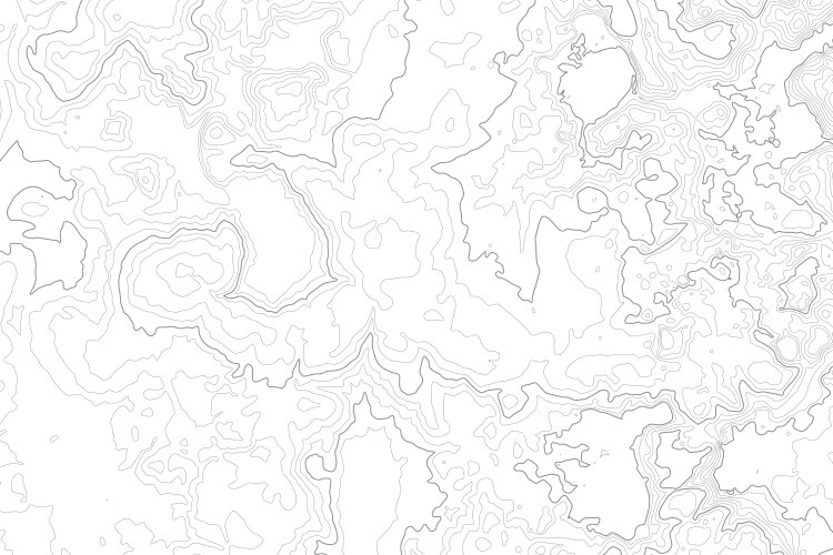 Topographic map patterns topography line Vector Image