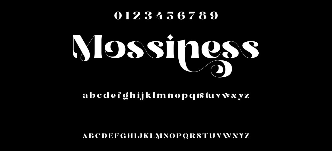 Premium luxury elegant alphabet letters Royalty Free Vector