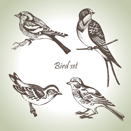 Free Bird Vector Images (over 18,000)