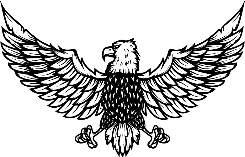 Flying eagle Royalty Free Vector Image - VectorStock