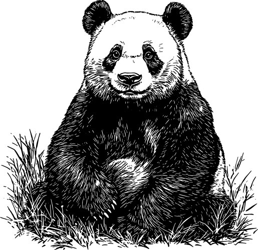 Panda Clipart Vector Images (over 2,800)