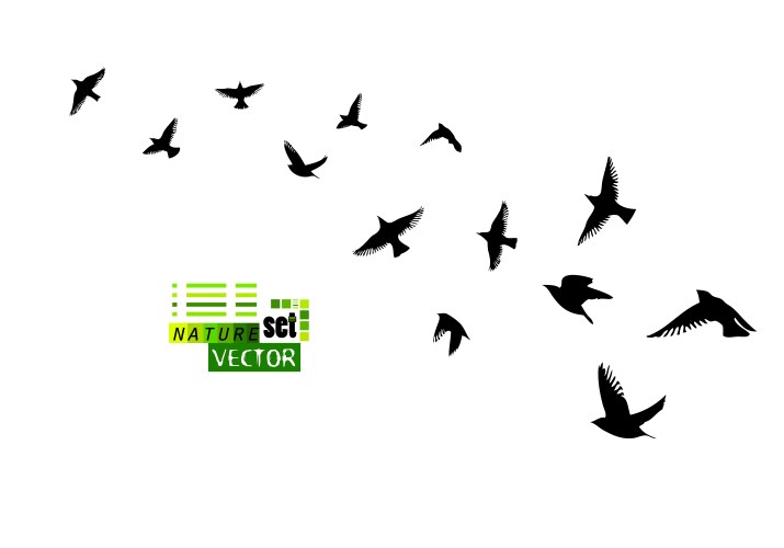 Birds Flock Tattoo Vector Images (over 570)