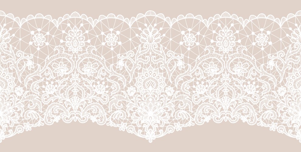Seamless white lace Royalty Free Vector Image - VectorStock