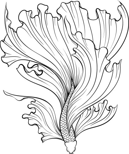 Two siamese fighter fish line art Royalty Free Vector Image