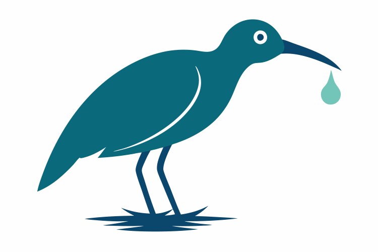 Bird drinking water m Royalty Free Vector Image