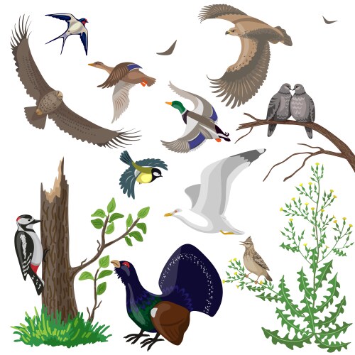 Birds Vector Images (over 610,000)