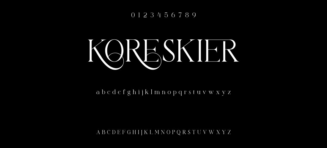 Premium luxury elegant alphabet letters Royalty Free Vector
