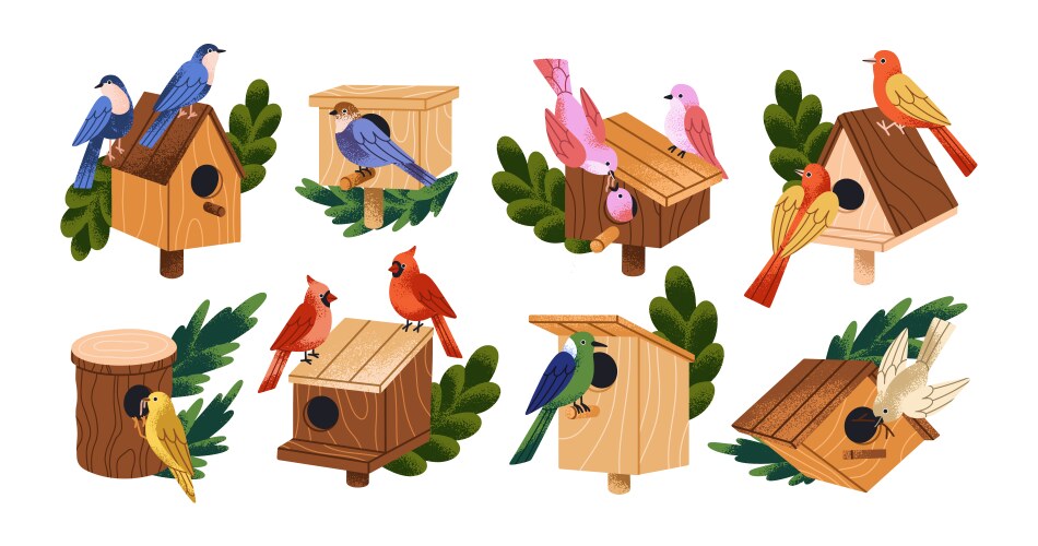 Nest Coloring Vector Images (over 7,700)