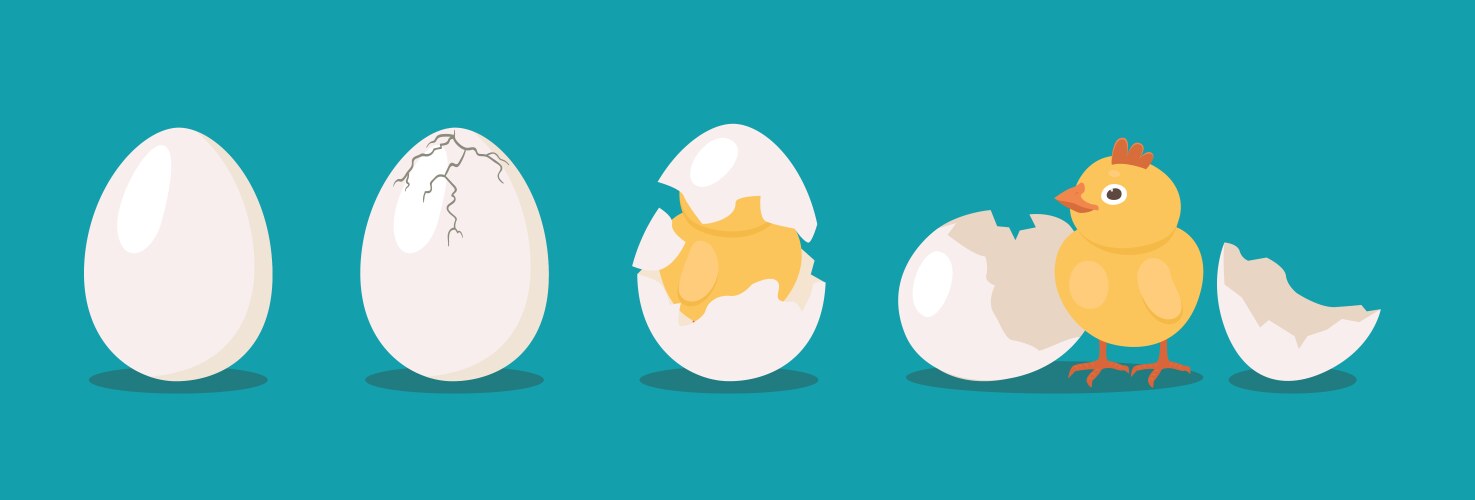 Chick Hatching Egg Vector Images (over 2,700)