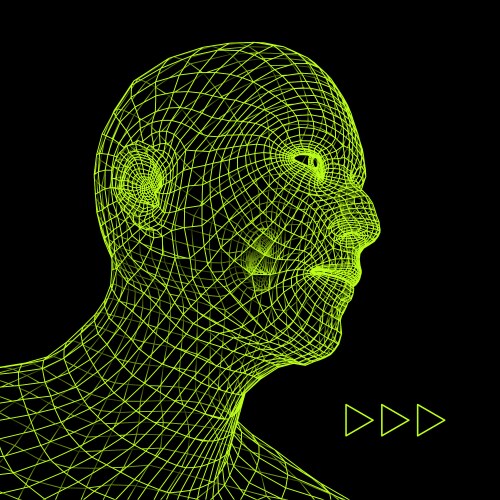 Head 3d grid geometric face design Royalty Free Vector Image