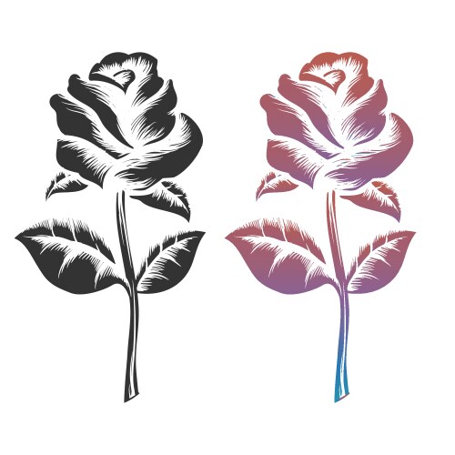 Rose leaf Royalty Free Vector Image - VectorStock