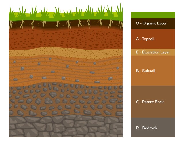 Soil layer infographic earth geology formation Vector Image