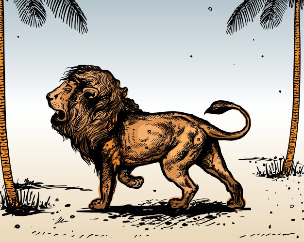 Lion Vector Images (over 110,000)