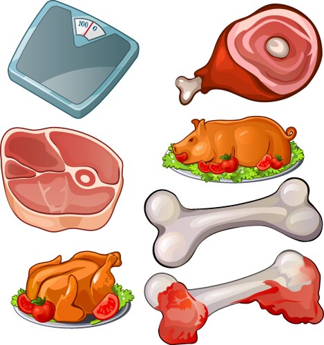 Raw chicken Royalty Free Vector Image - VectorStock