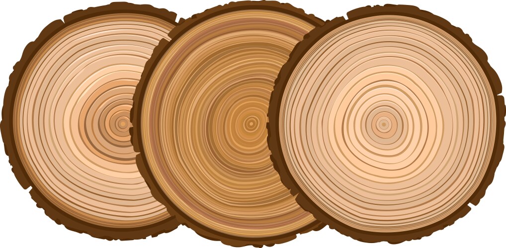 Brown Tree Vector Images (over 53,000)
